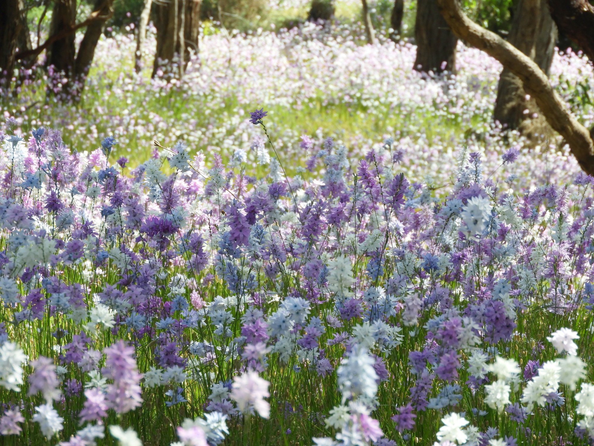 Jigsaw Puzzle | 108 pieces | Pastel Flower Field | Jigidi