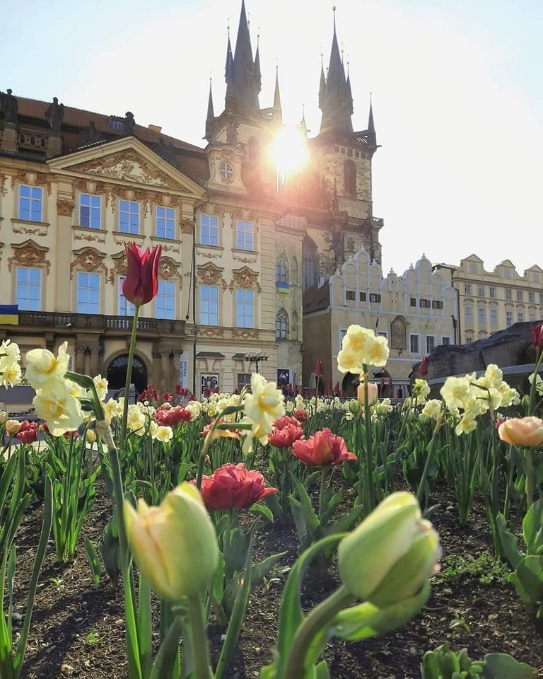 Solve Ráno na Staroměstském náměstí v Praze - Morning on the Old Town ...
