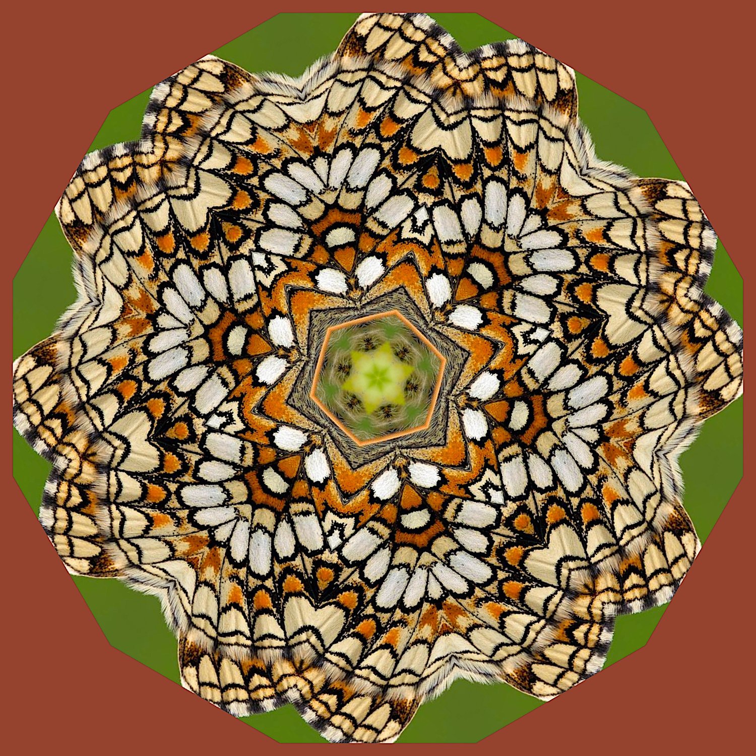 Solve #2 small jigsaw puzzle online with 64 pieces