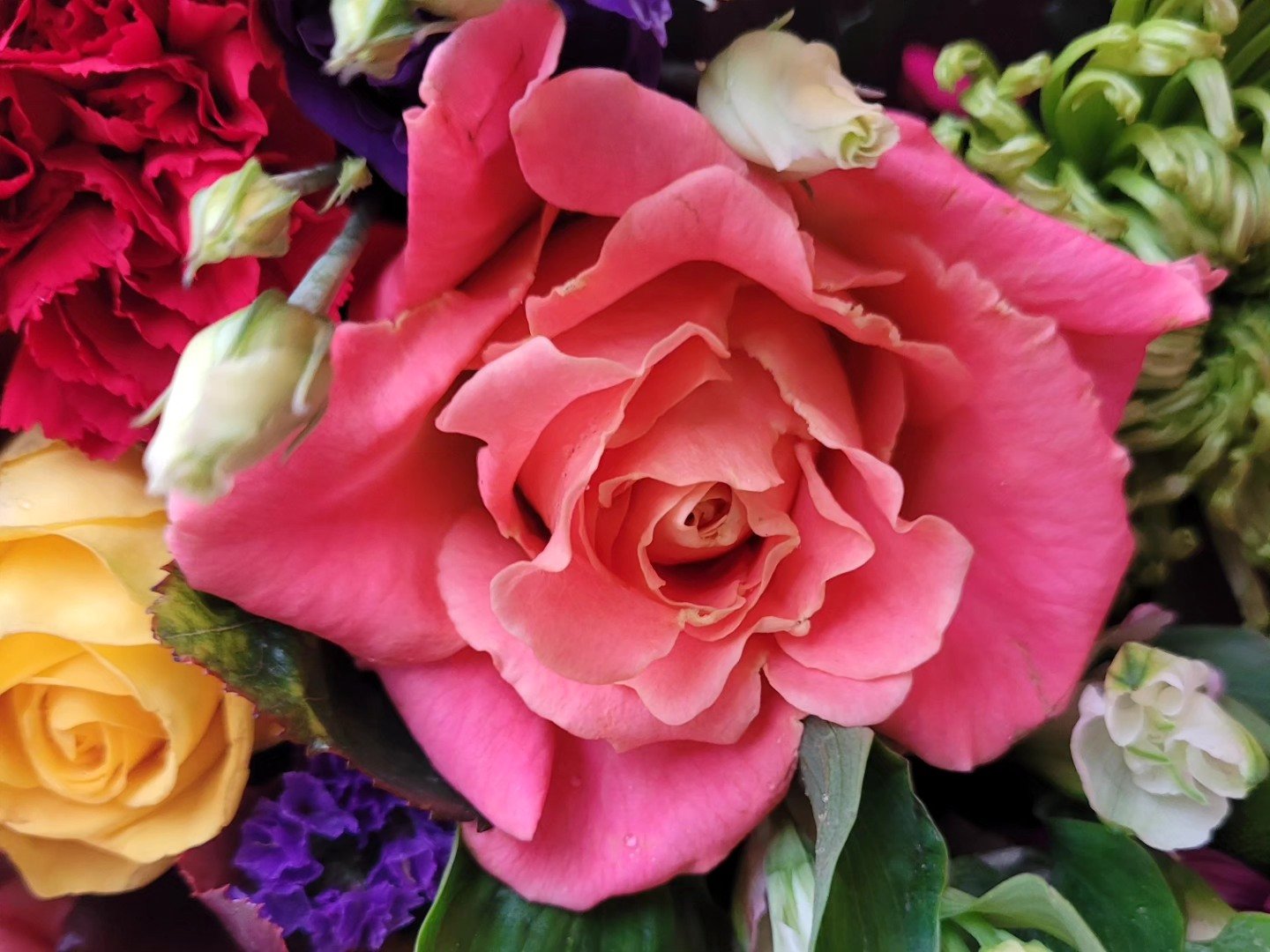 Solve rose jigsaw puzzle online with 456 pieces