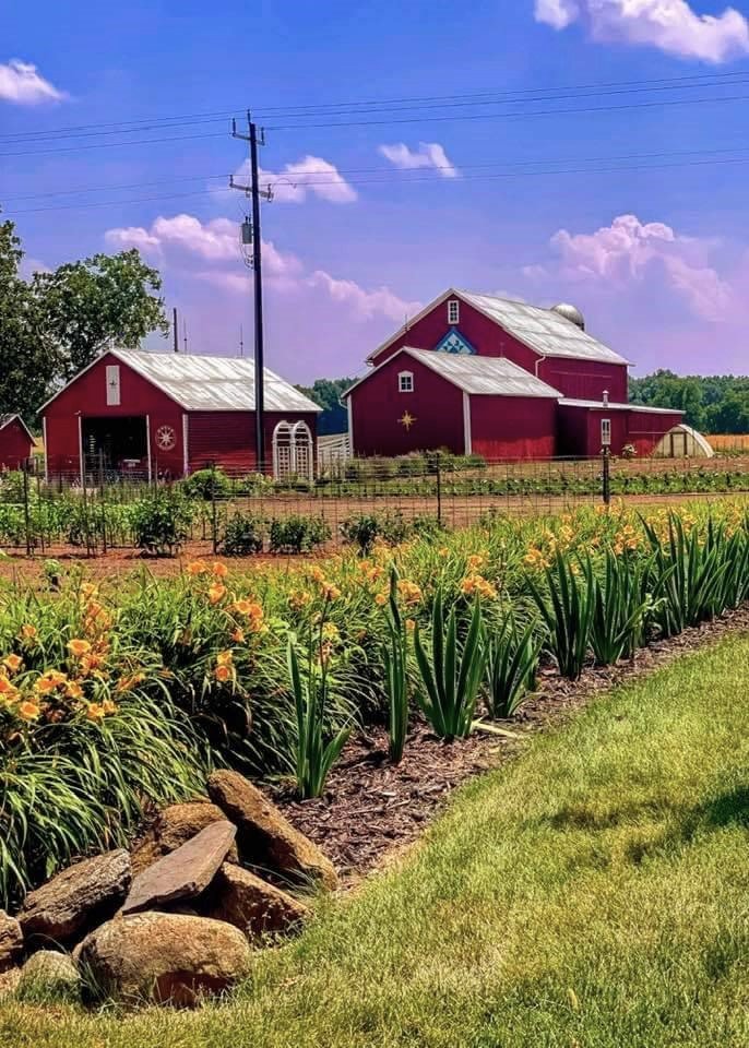 Solve Red and white, very neat jigsaw puzzle online with 117 pieces