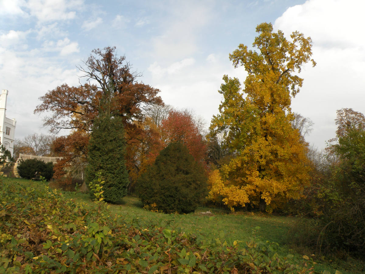 Puzzle | 88 pièces | Nastal podzim a příroda ukazuje své nejkrásnější ...