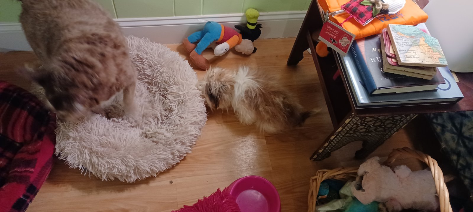 Solve Henry and Buffy jigsaw puzzle online with 32 pieces