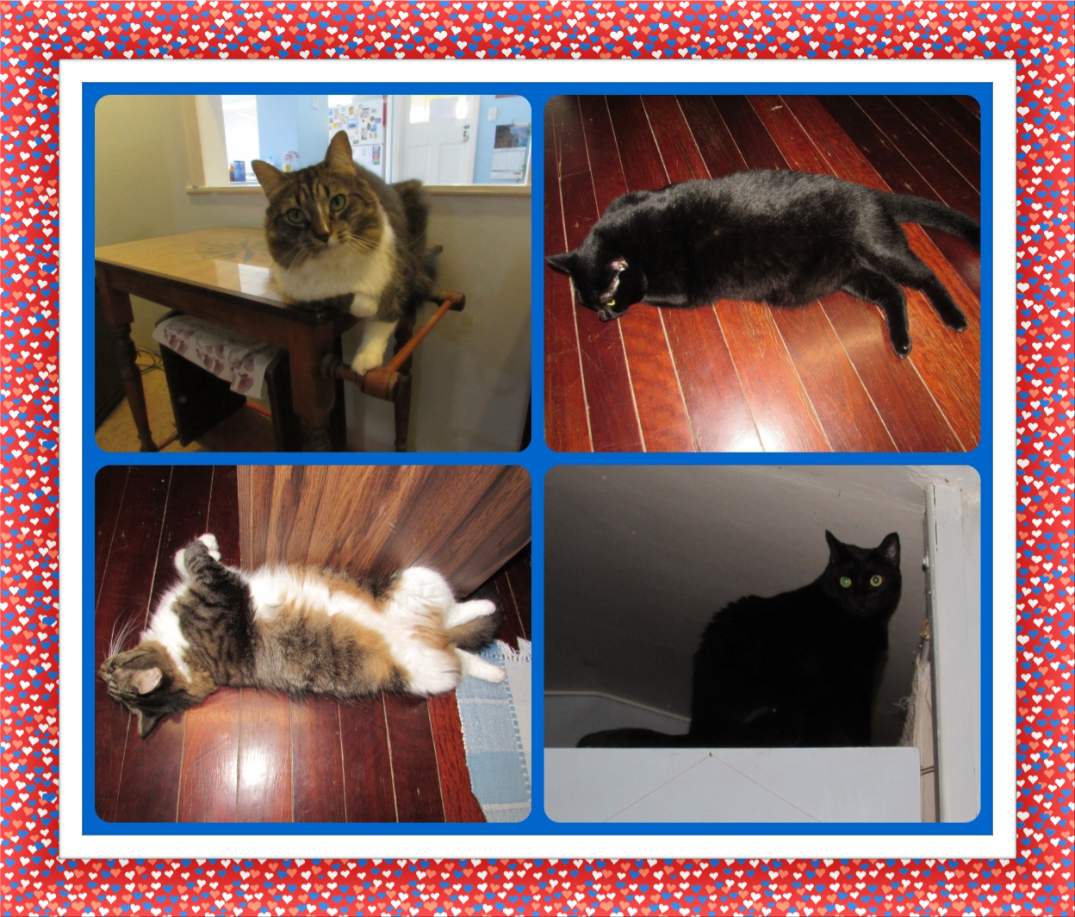 Solve Our Sophie and Shadow. Smaller. jigsaw puzzle online with 20 pieces