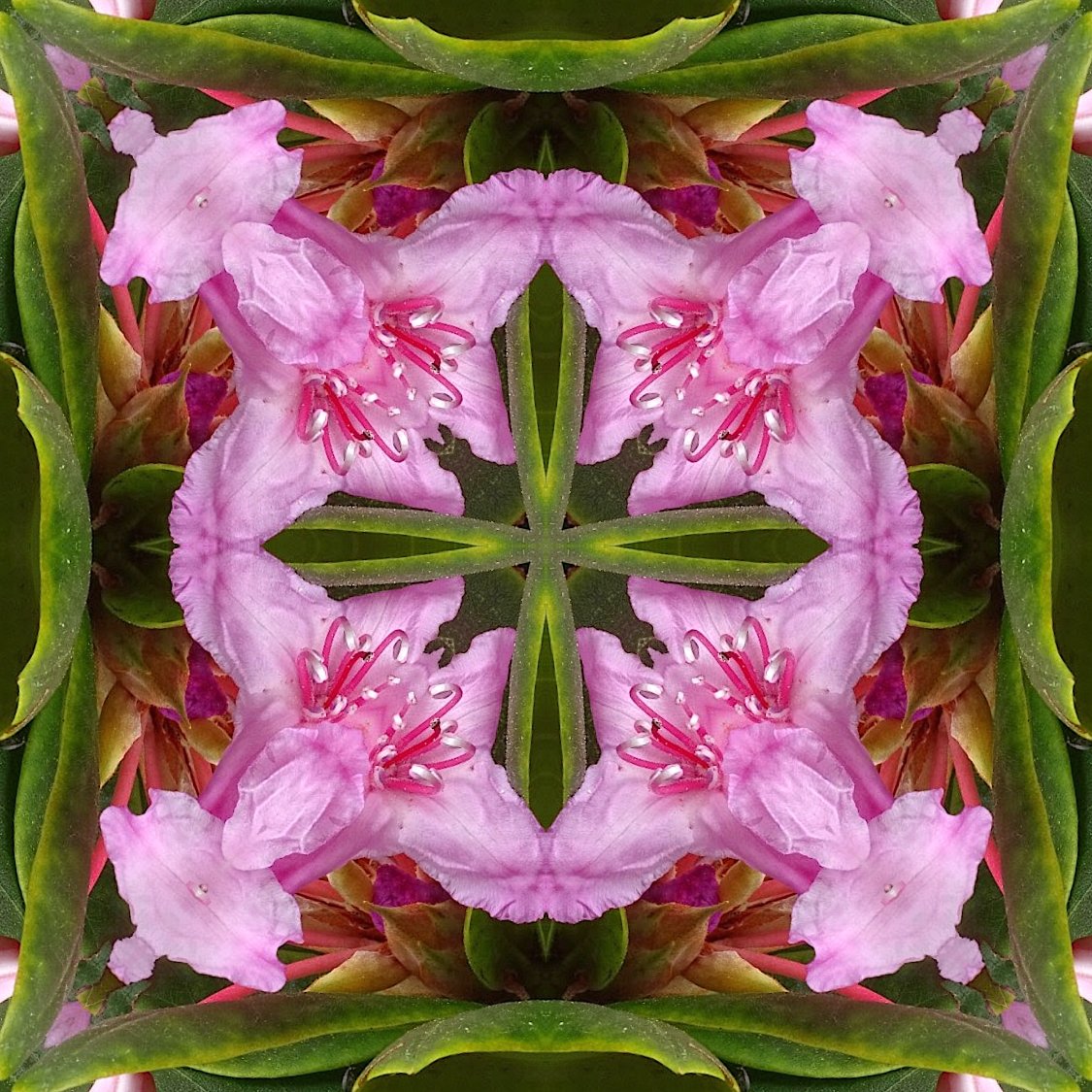 Solve #2 very small jigsaw puzzle online with 25 pieces