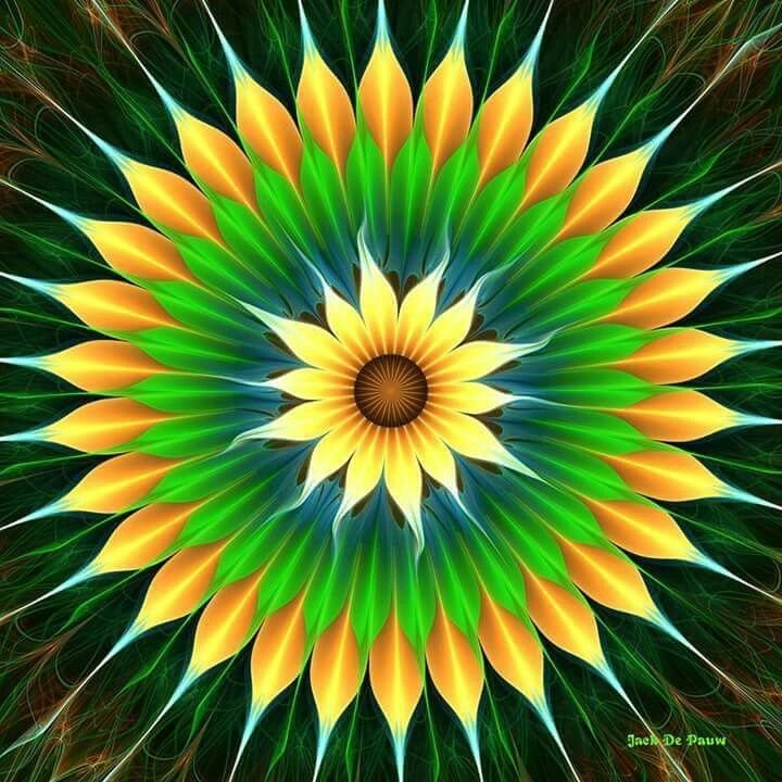 Solve Flower power... jigsaw puzzle online with 100 pieces