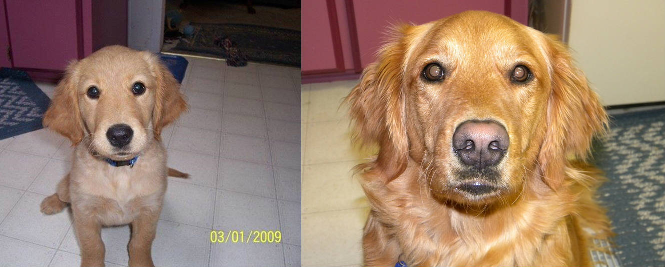 Solve Brandi Then and Now jigsaw puzzle online with 160 pieces