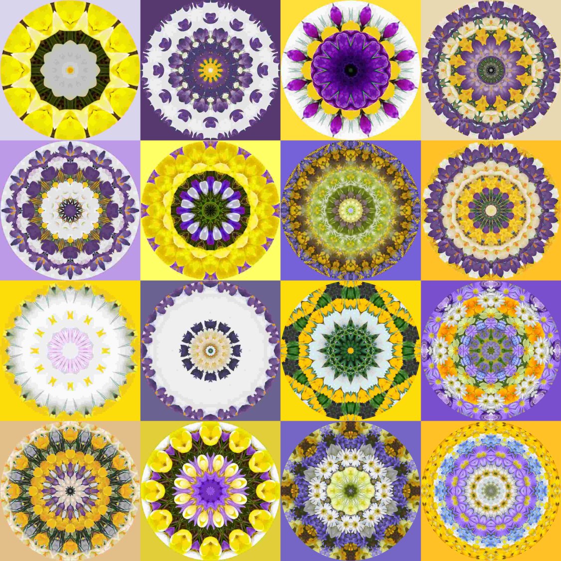 Solve sunny day jigsaw puzzle online with 16 pieces
