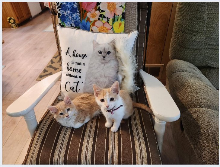 Solve Strawberry and Mango jigsaw puzzle online with 20 pieces