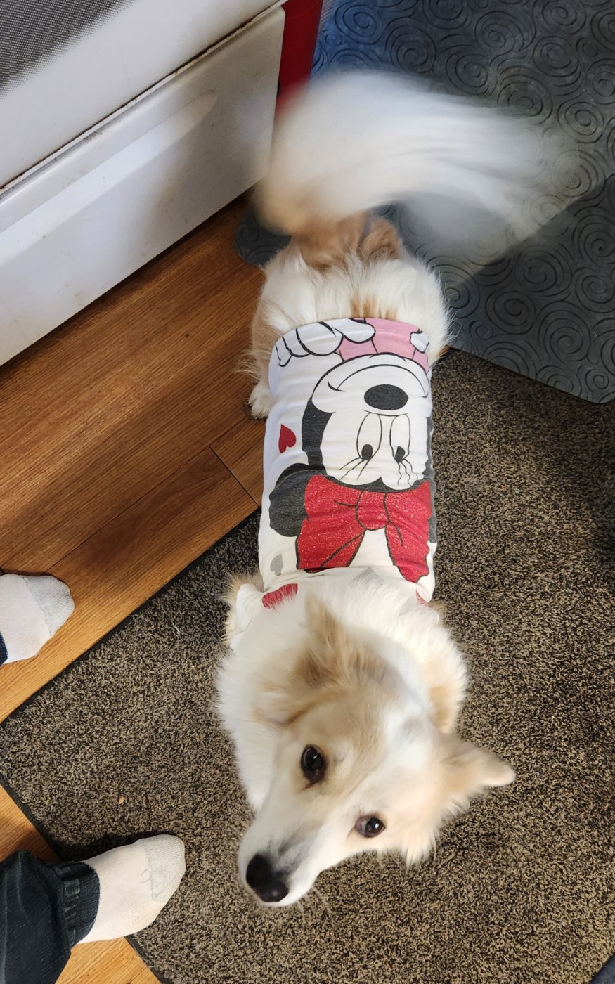 Solve Mabel and Minnie Mouse jigsaw puzzle online with 28 pieces