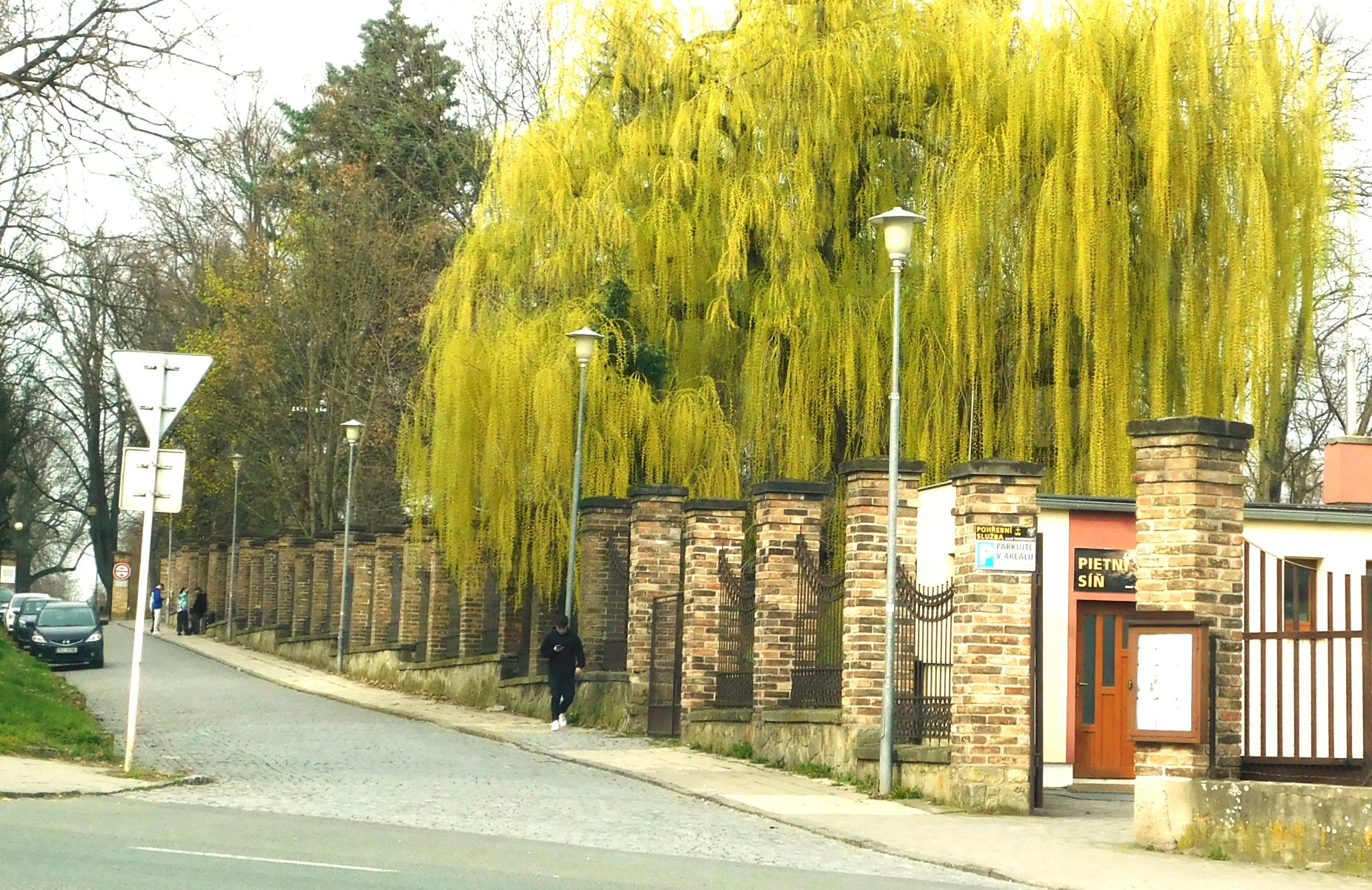 Solve Jarní.... jigsaw puzzle online with 60 pieces