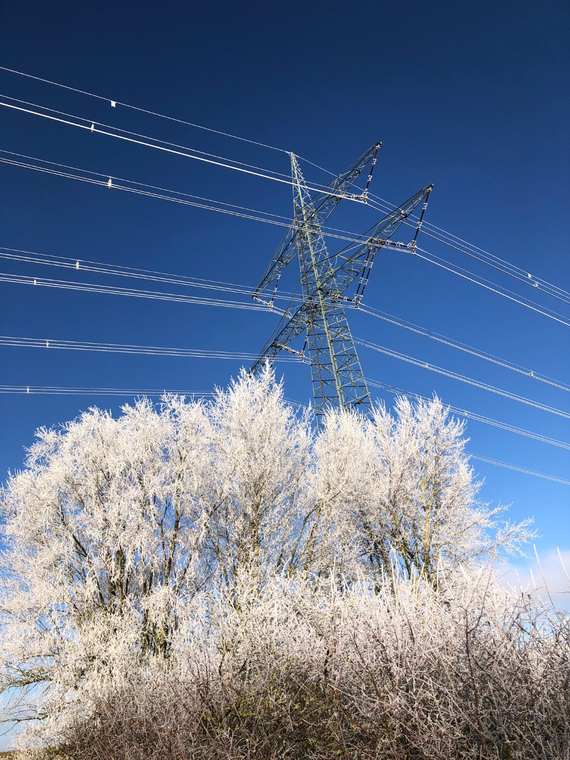 Solve Wintersonne - winter sun jigsaw puzzle online with 396 pieces