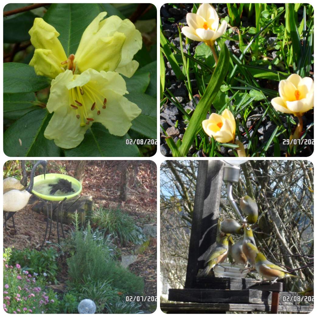 Solve Garden Snippets jigsaw puzzle online with 25 pieces