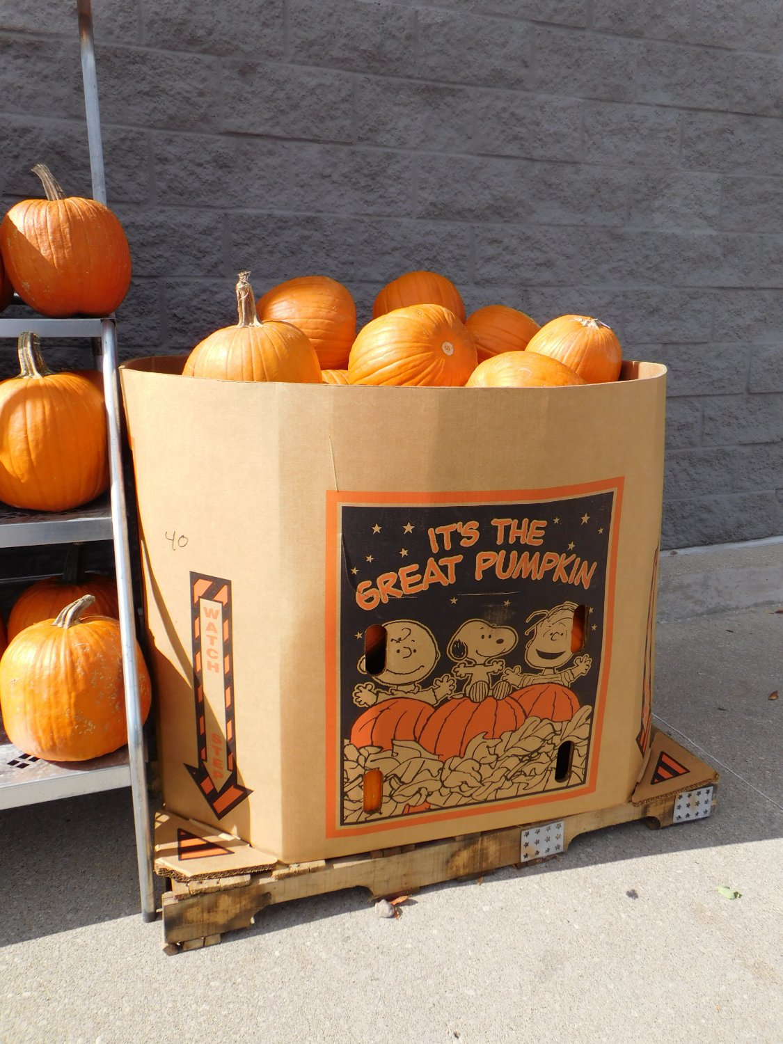 Solve LOVE THE CHARLIE BROWN REFERENCE AT WALMART IN WINCHESTER KY ...