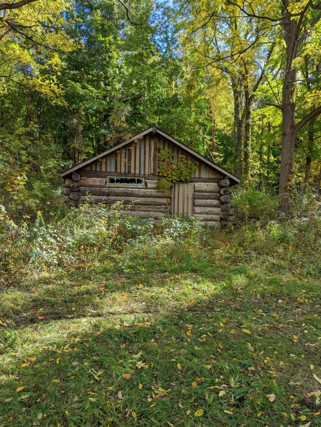 Solve Cabin jigsaw puzzle online with 300 pieces