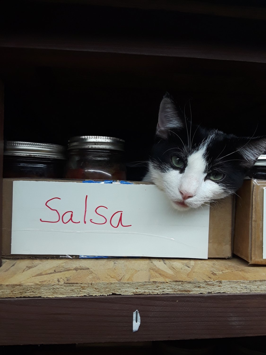 Solve Chunk-A-Monk jigsaw puzzle online with 48 pieces