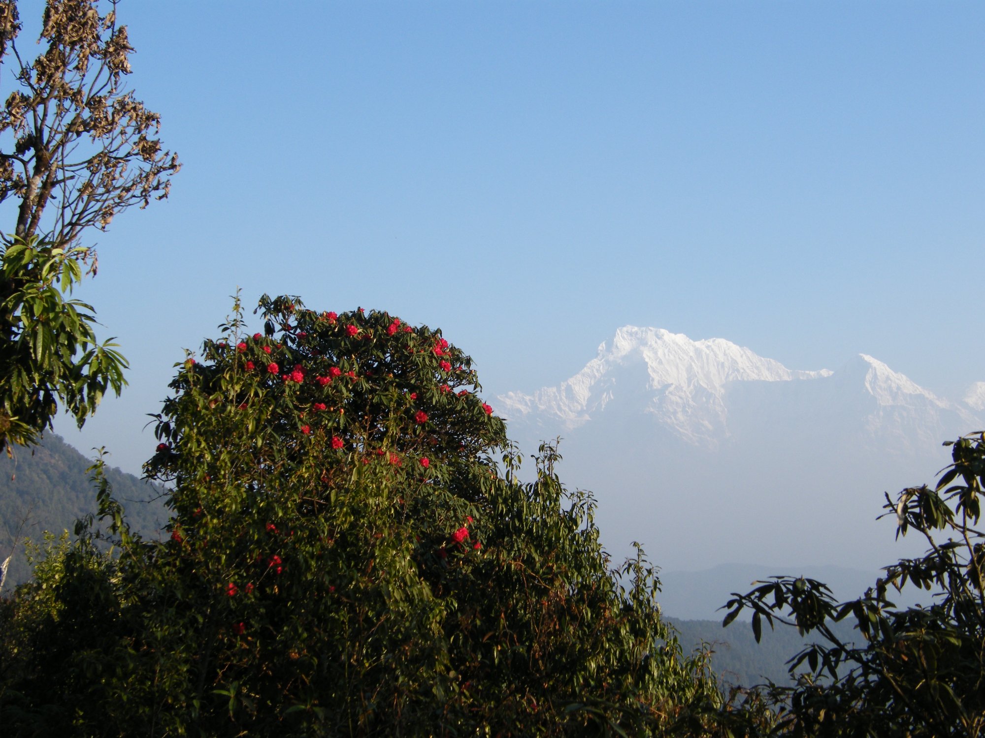 Solve Annapurna from Panchase Banjang, Nepal jigsaw puzzle online with ...
