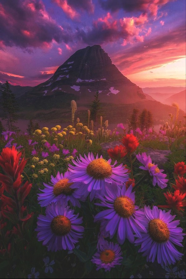 Solve Huh? Sorry, okay. jigsaw puzzle online with 54 pieces