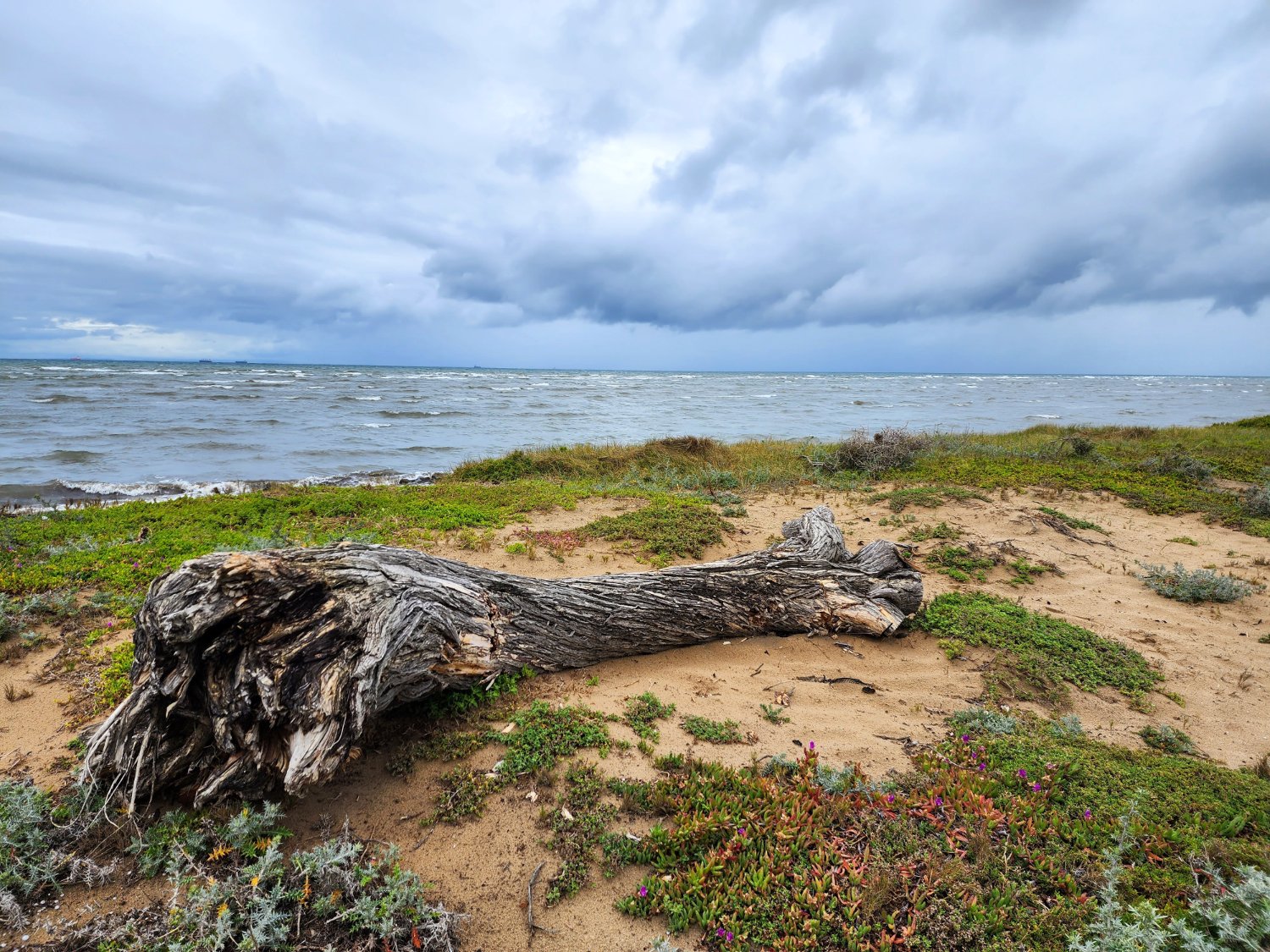 Solve Point Cook beach this morning 1 jigsaw puzzle online with 20 pieces