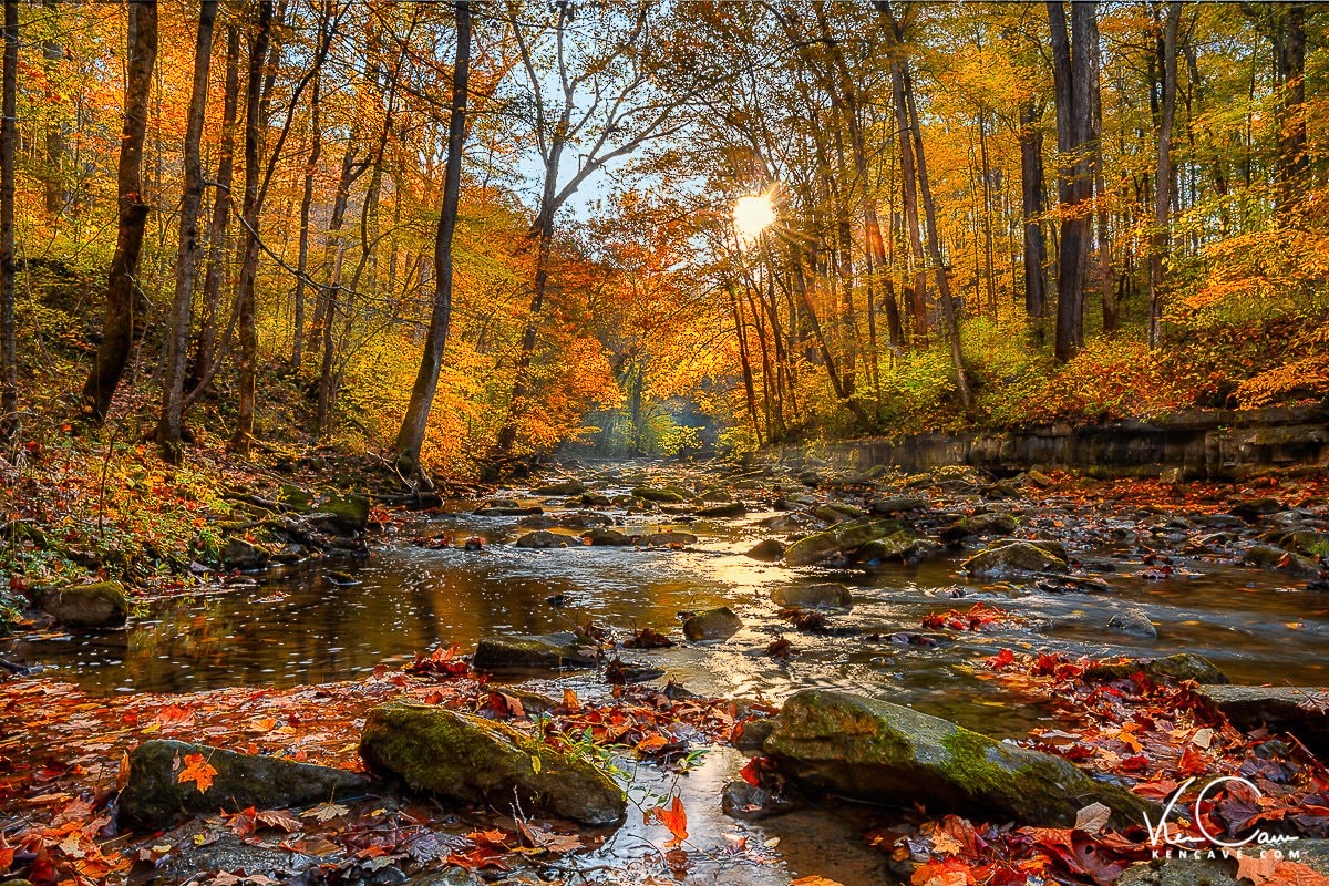 Jigsaw Puzzle | 176 pieces | Fall Stream | Jigidi