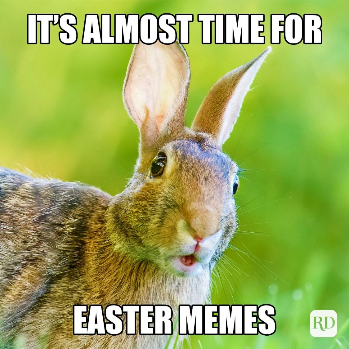 Solve Easter Memes jigsaw puzzle online with 9 pieces
