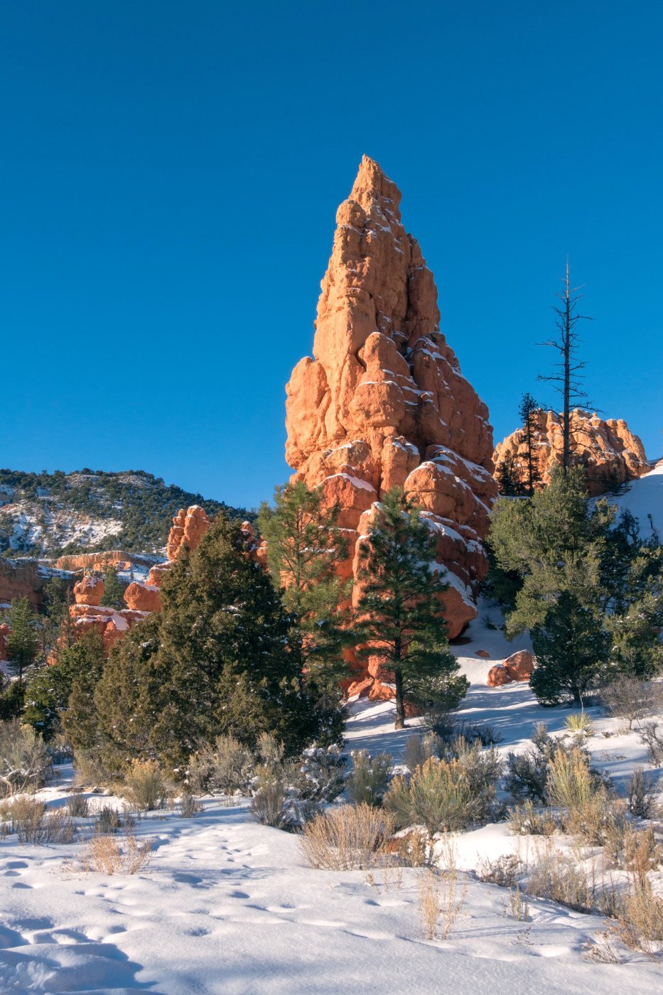 Solve Bryce Canyon National Park, Utah jigsaw puzzle online with 35 pieces