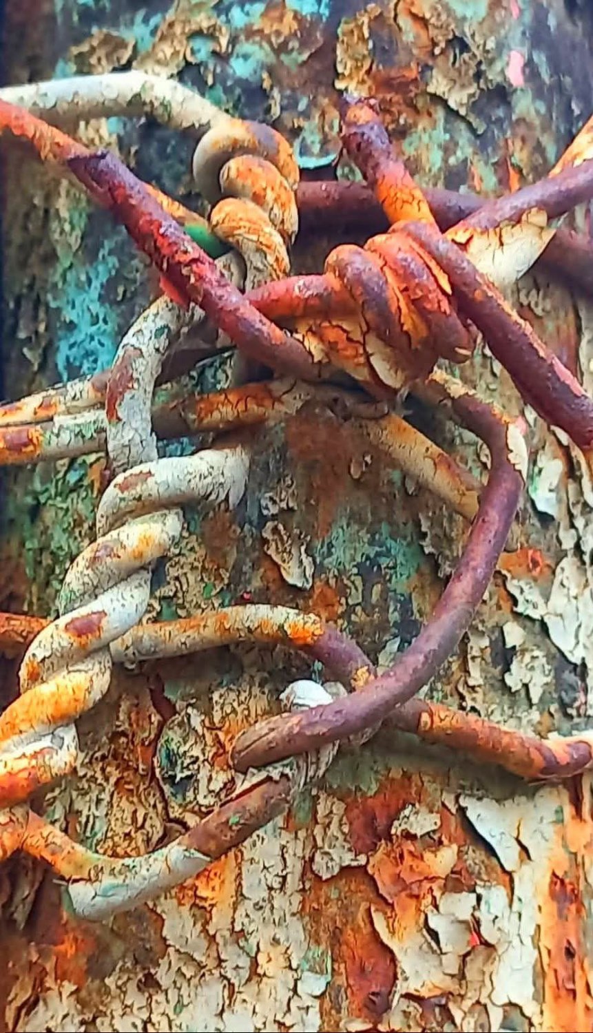 Solve Painted rusty barbwire. jigsaw puzzle online with 299 pieces