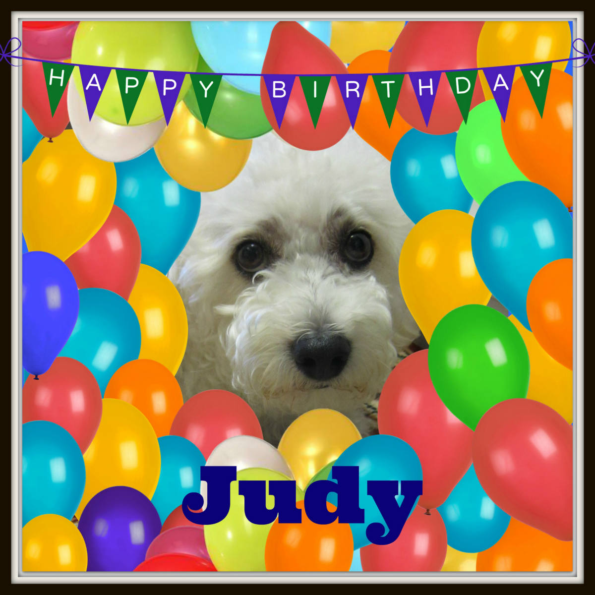 Solve Happy Birthday Judy! jigsaw puzzle online with 196 pieces