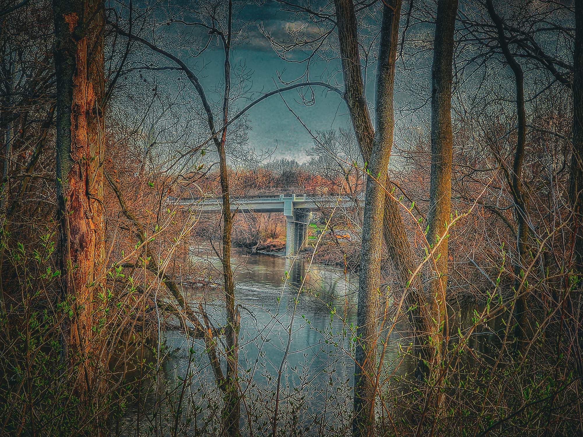 Solve River Through Trees jigsaw puzzle online with 221 pieces