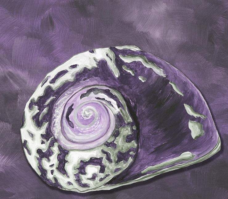 Solve Sea Shell jigsaw puzzle online with 20 pieces