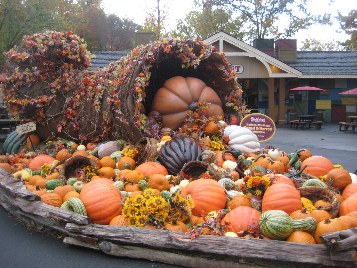 Solve Dollywood Horn of Plenty jigsaw puzzle online with 48 pieces