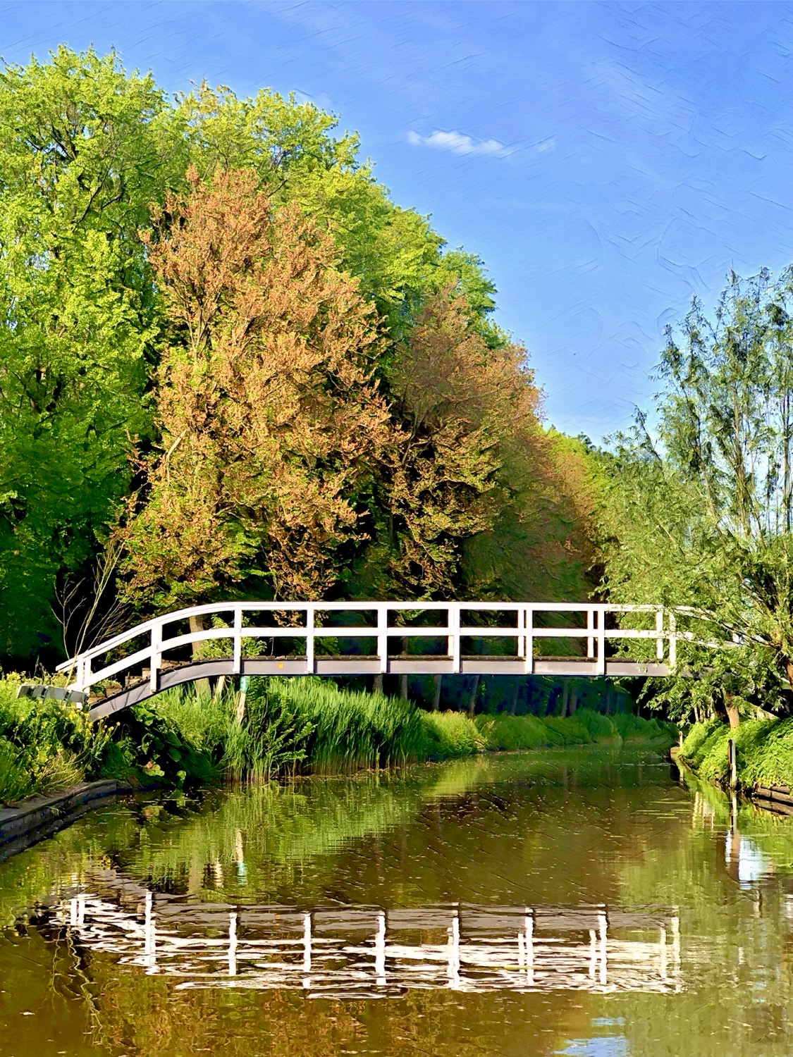 Solve Linschoten jigsaw puzzle online with 80 pieces