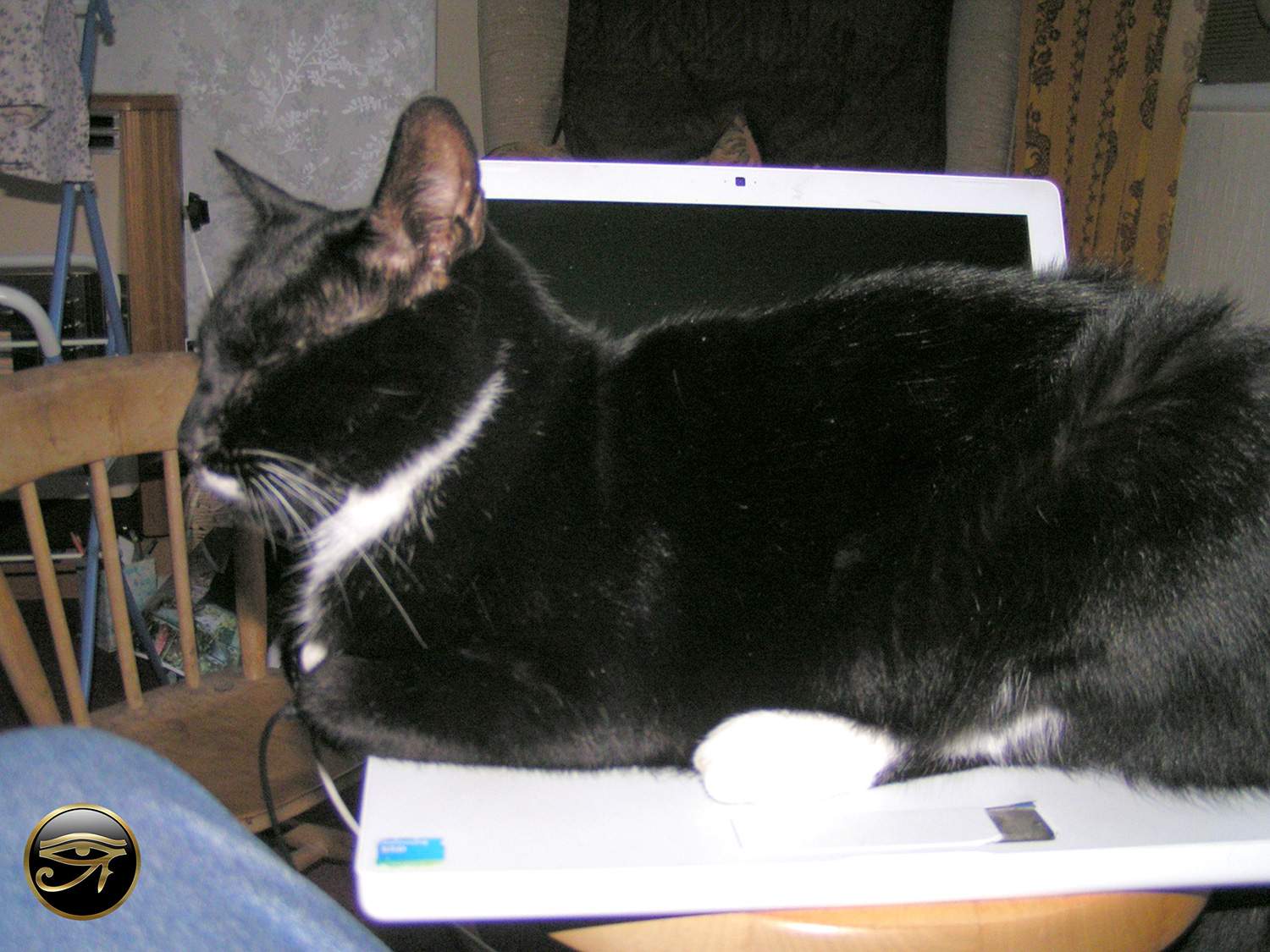 Solve My Laptop ... jigsaw puzzle online with 108 pieces