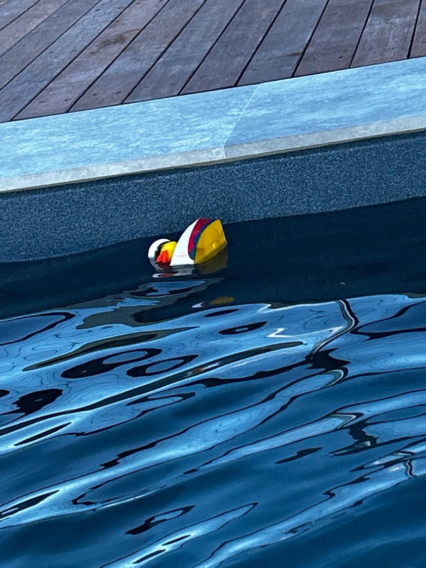 Solve That’s a fail 🦆 jigsaw puzzle online with 12 pieces