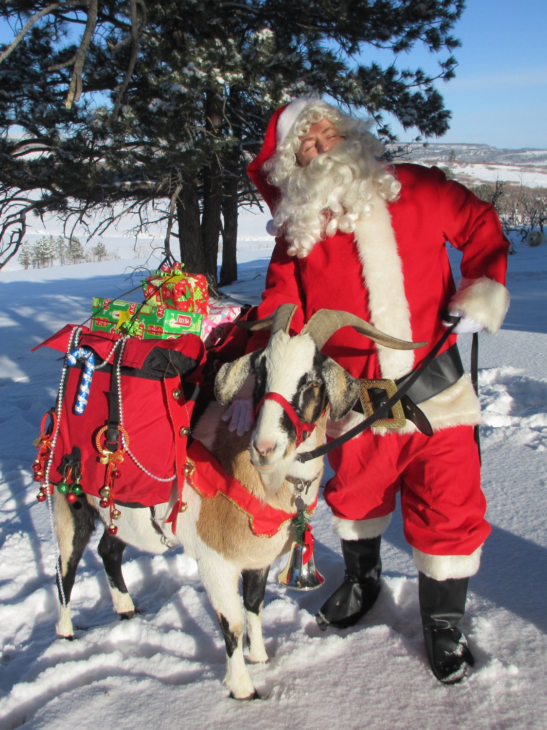 Solve Santa and Yule Goat jigsaw puzzle online with 500 pieces