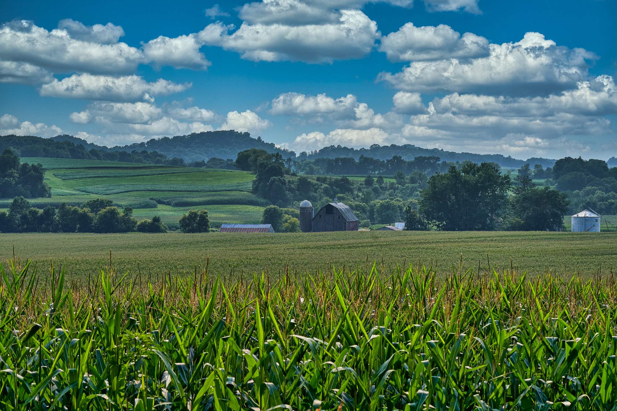 Solve The View Over a Wisconsin Corn Field in 600 Pieces jigsaw puzzle ...