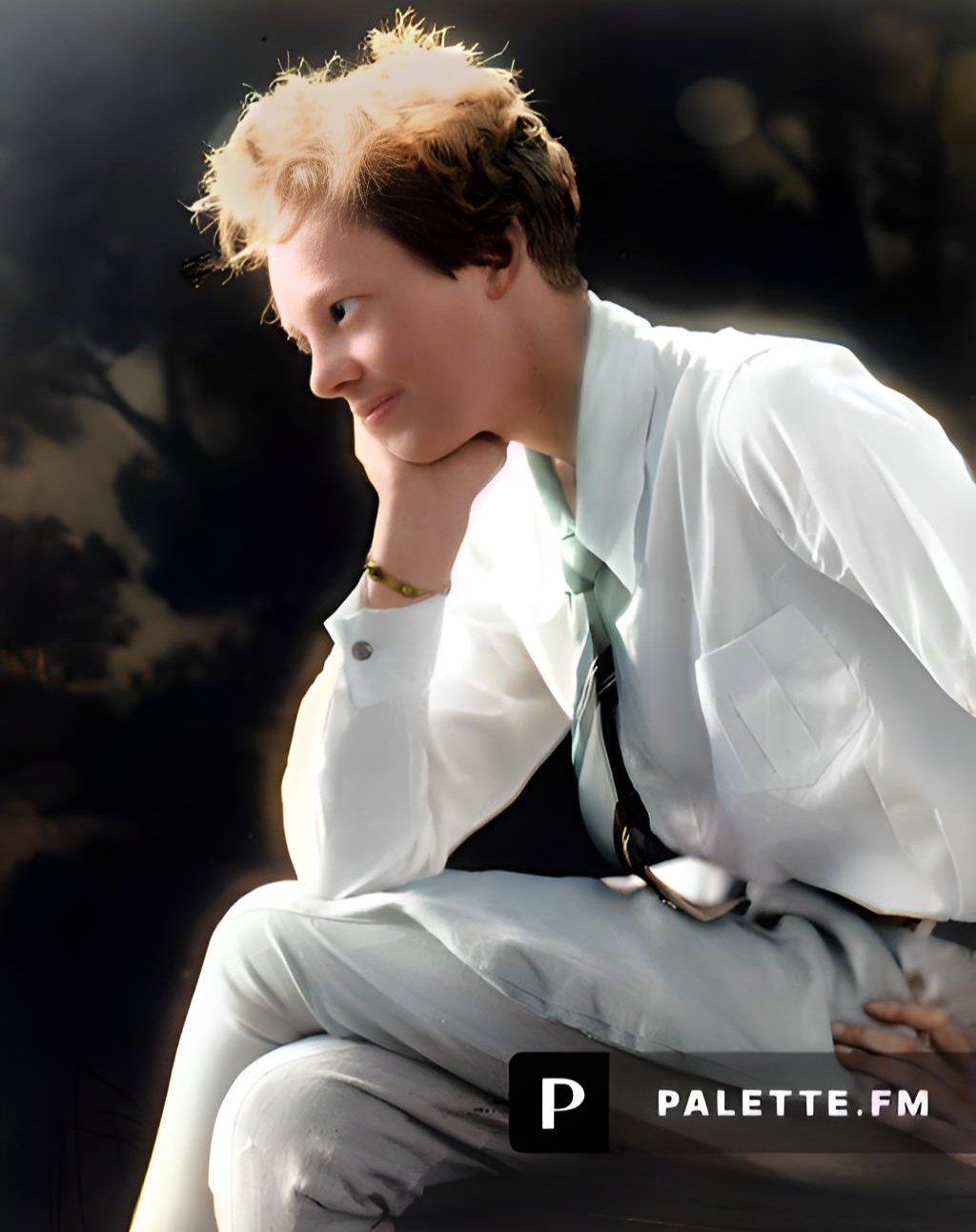 Solve Amelia Earhart. jigsaw puzzle online with 252 pieces