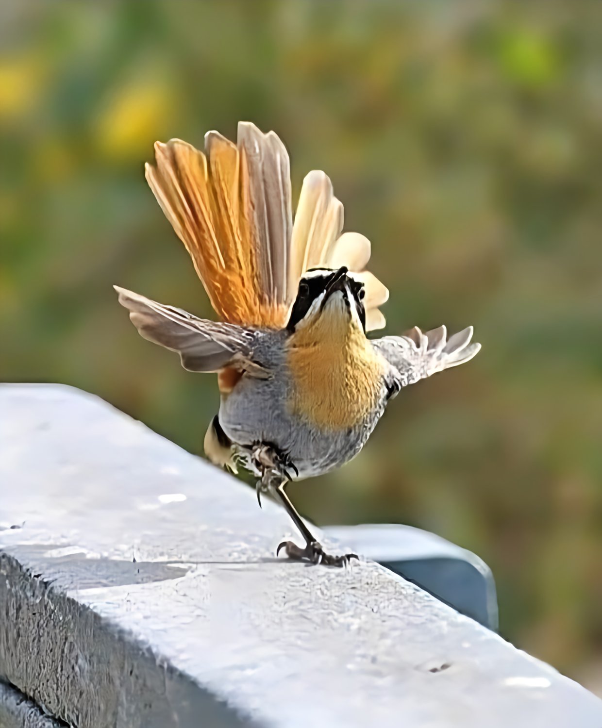 Solve Morning stretch jigsaw puzzle online with 399 pieces