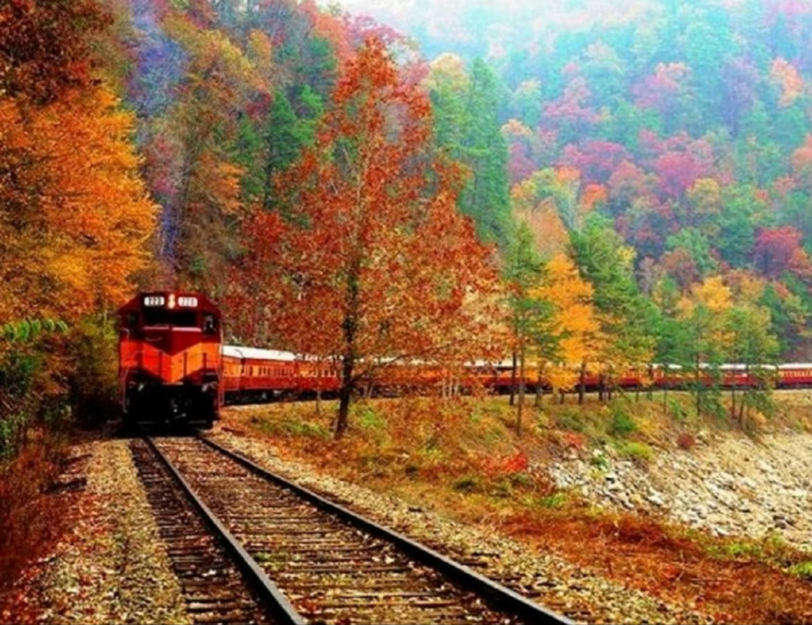 Solve Fall scenery jigsaw puzzle online with 108 pieces