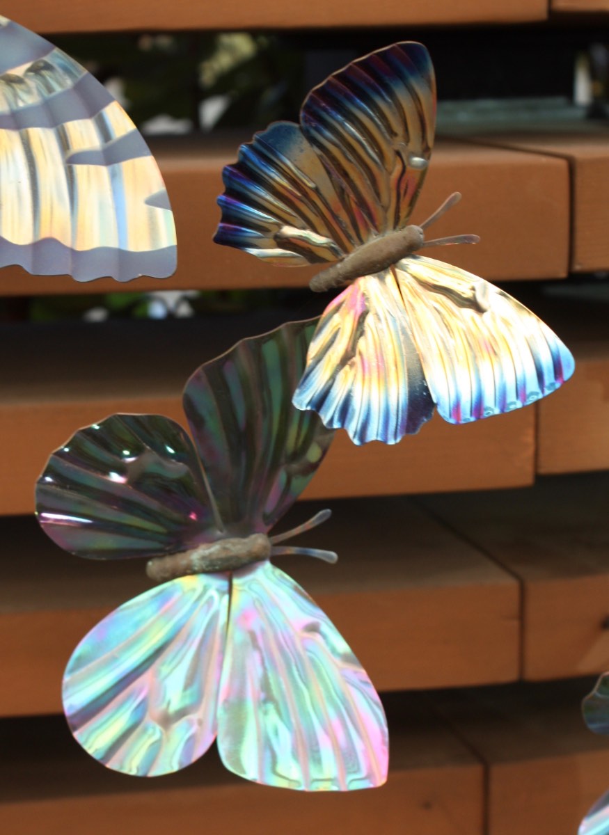 Solve Wings in the Wind #2 jigsaw puzzle online with 24 pieces