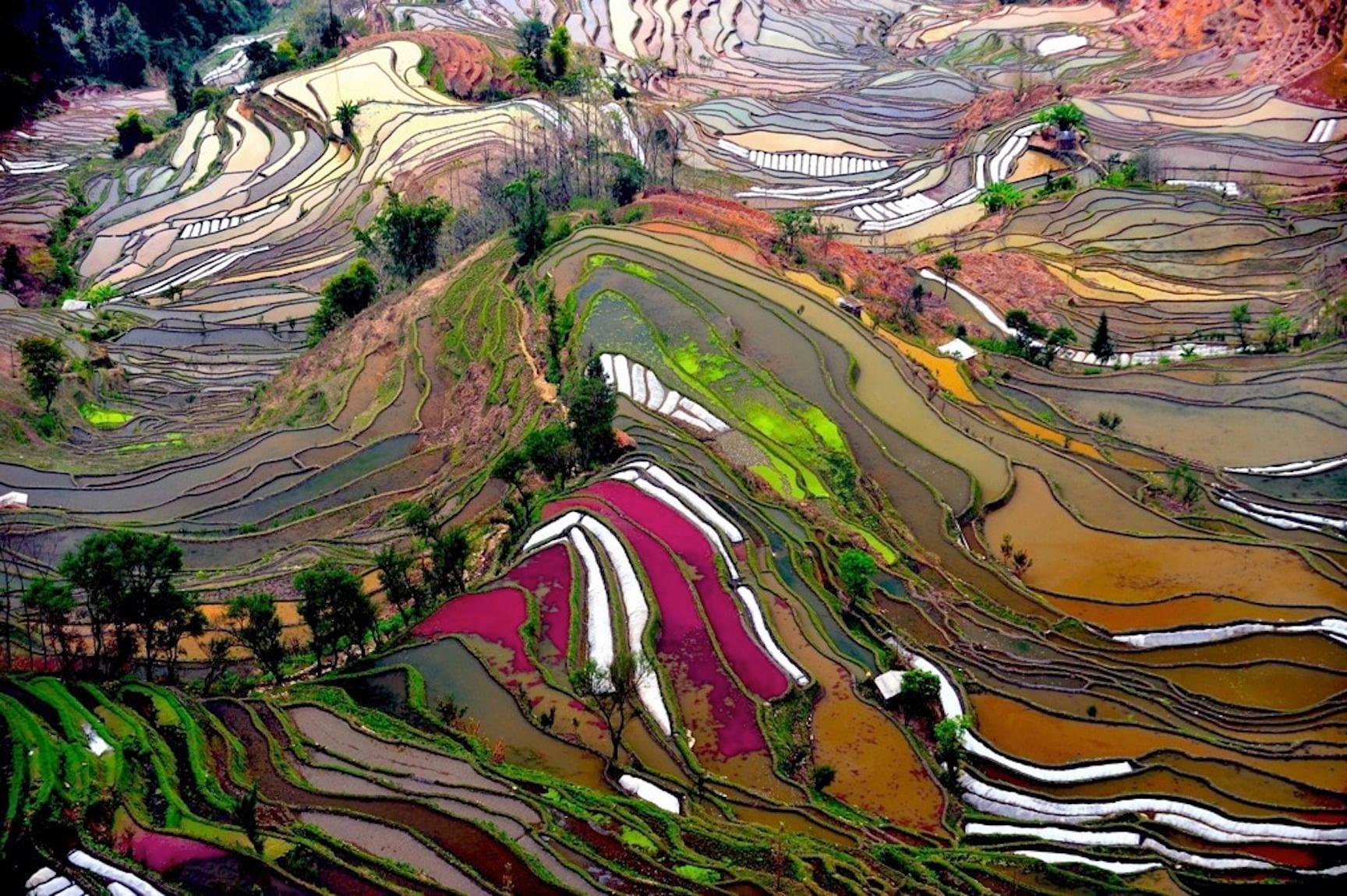 Solve Rice terraces of Yuanyang county in China’s Yunnan province ...