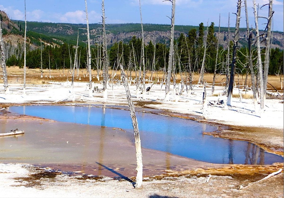Solve Beautiful and deadly Yellowstone pools jigsaw puzzle online with ...
