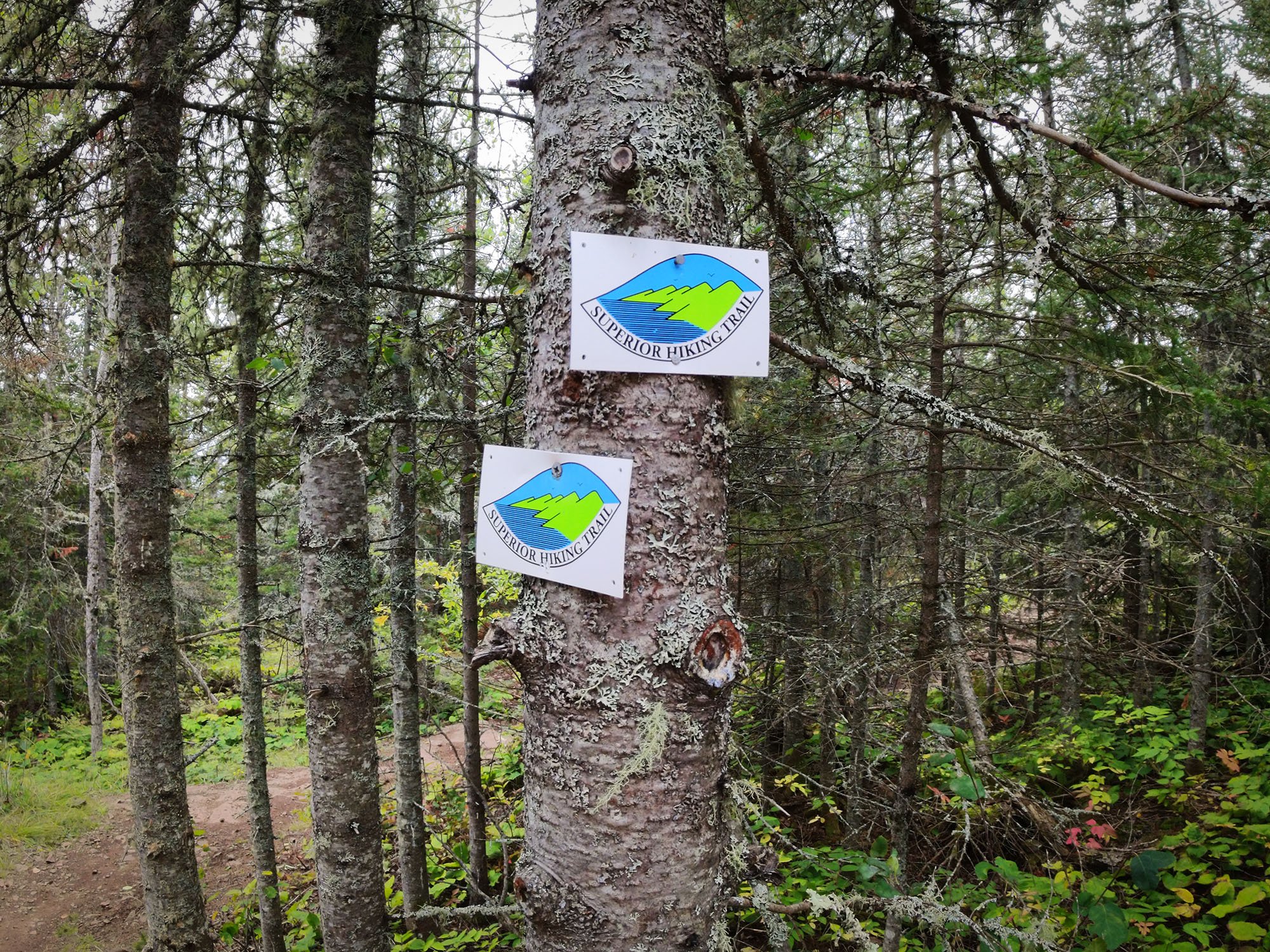 Solve Superior Hiking Trail jigsaw puzzle online with 99 pieces