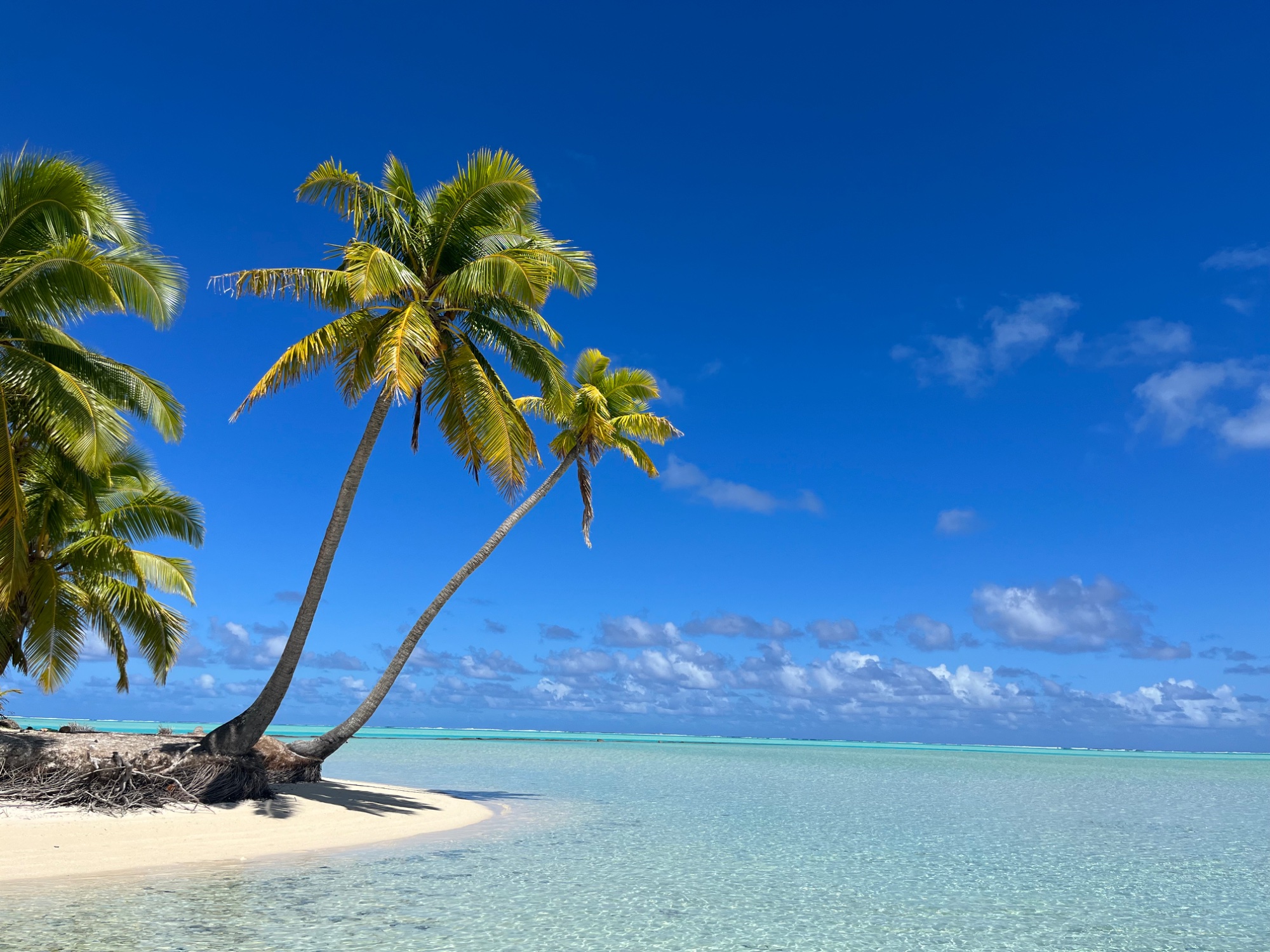 Solve On one Foot Island jigsaw puzzle online with 594 pieces