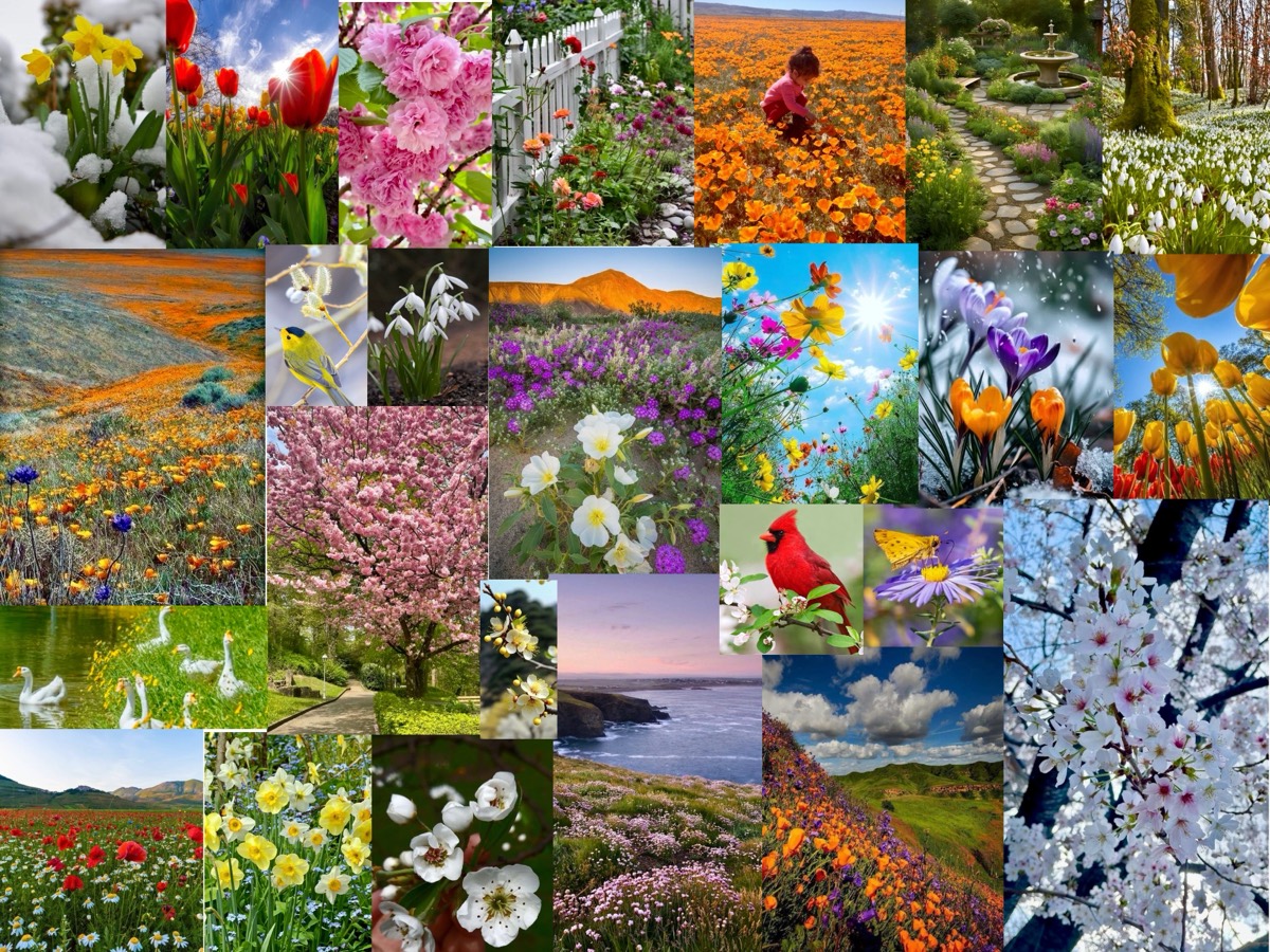 Solve Shades of spring jigsaw puzzle online with 80 pieces