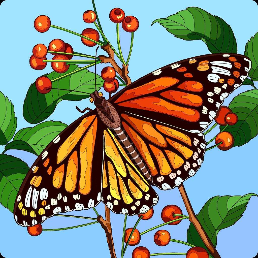 Solve PUZZLE - Monarch Butterfly jigsaw puzzle online with 196 pieces