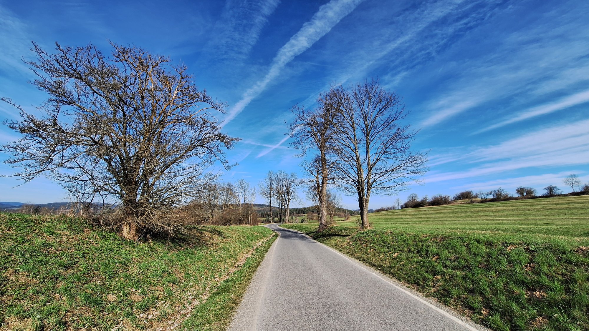 Solve Jaro - Spring jigsaw puzzle online with 60 pieces