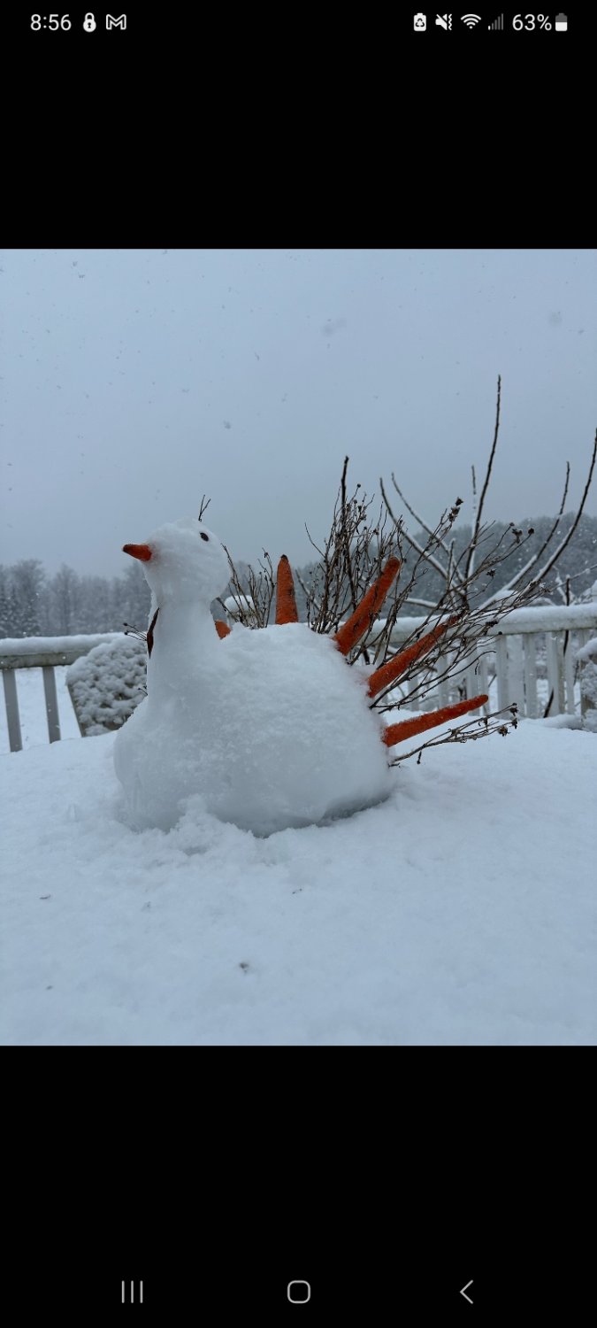 Solve Thanksgiving turkey jigsaw puzzle online with 84 pieces