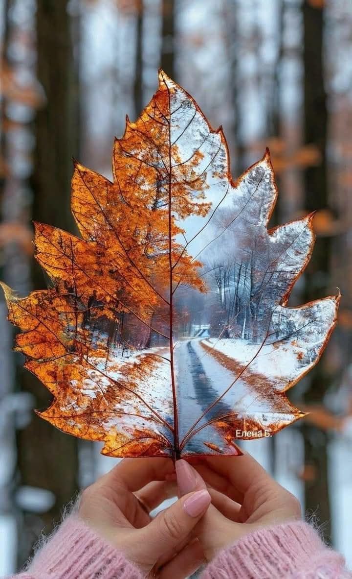 Solve A Vision jigsaw puzzle online with 60 pieces