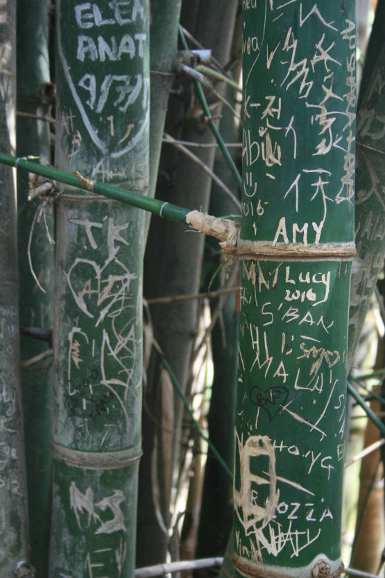 Solve The inscriptions on plants are all over the world, Sydney, NSW ...